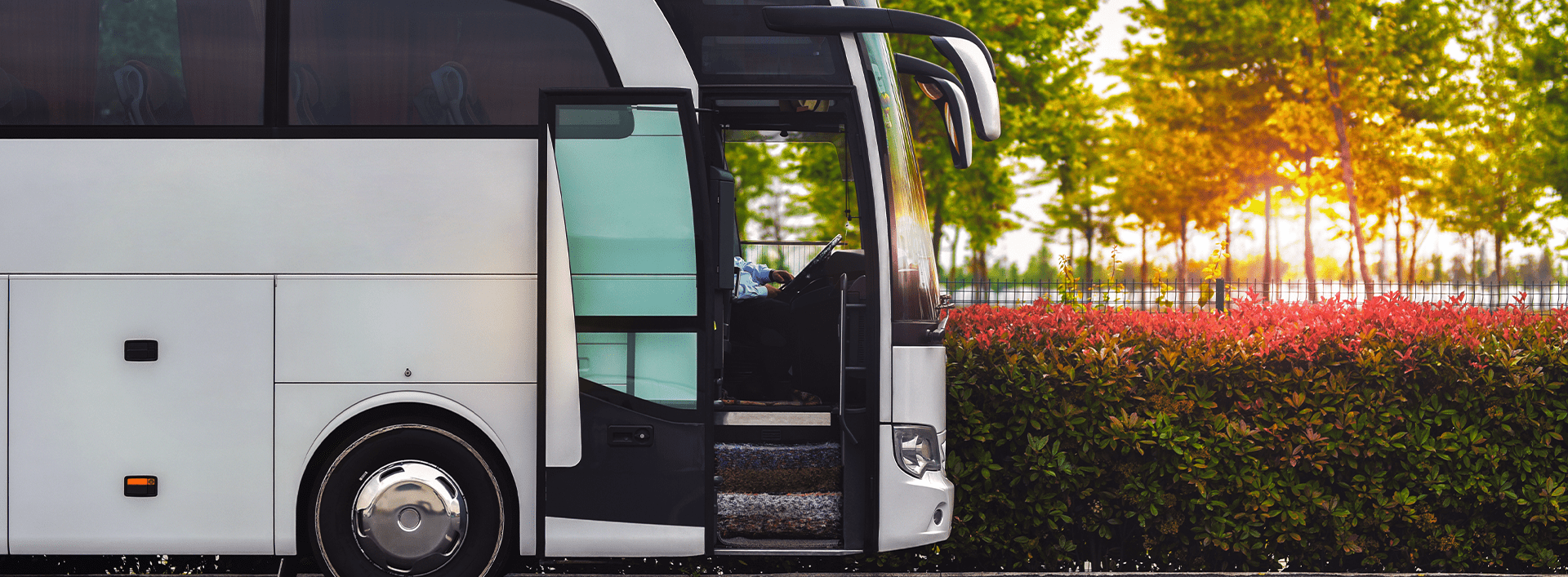 Book your bus tickets here